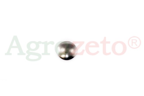 ZAŚLEPKA - STAL NIERDZEWNA FI30 Zetor 972311-0 - Agrozeto
